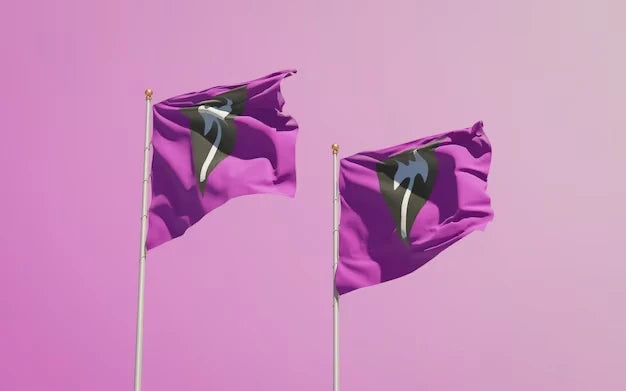 Labrys Lesbian Pride Flag 3x5 feet, Learn the history of the Labrys Fl